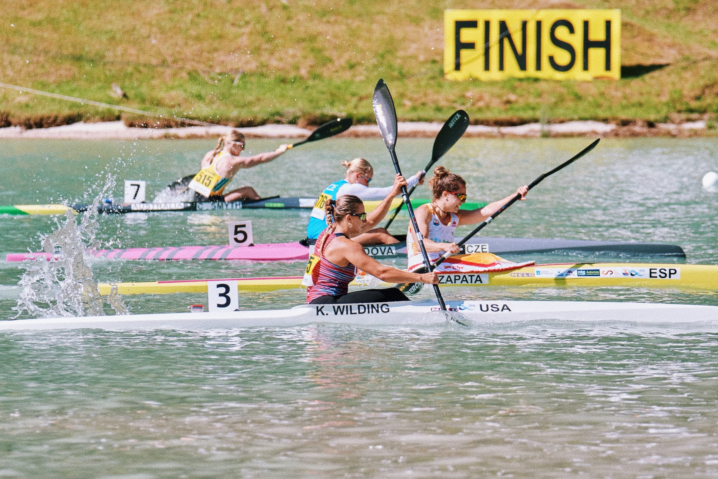 Competition Committee Bio Form - ACA