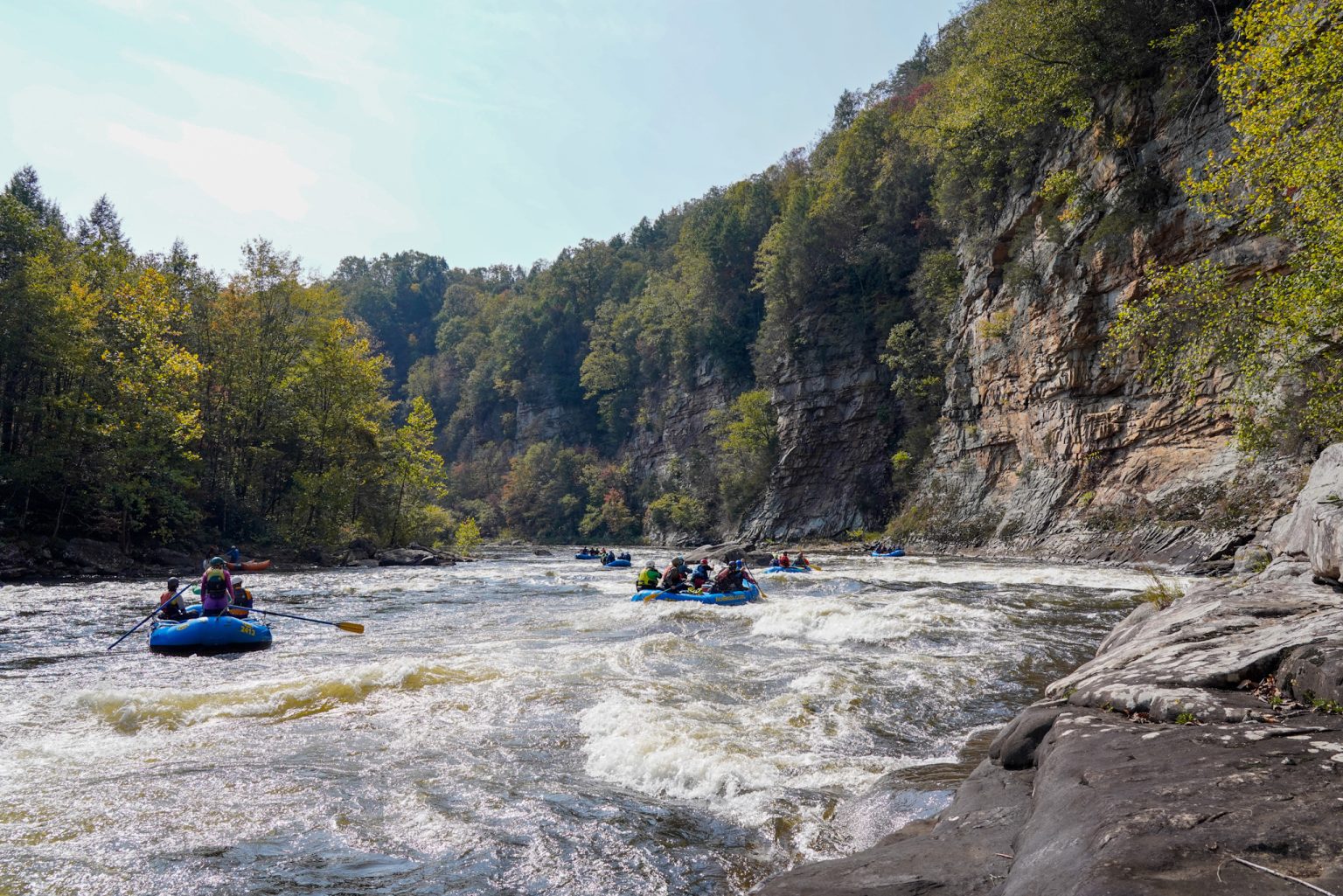 Congratulations to the 2024 ACA Annual Award Recipients - ACA
